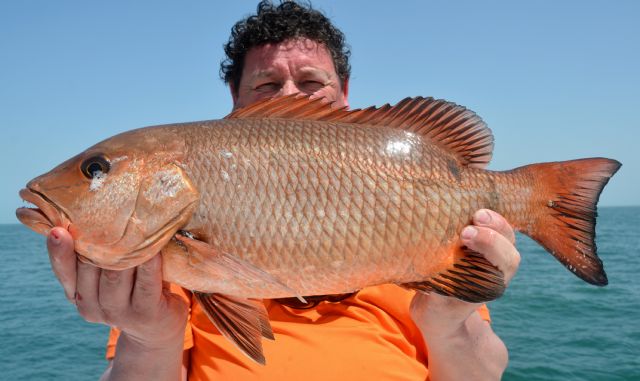 Species hunters - Pictures