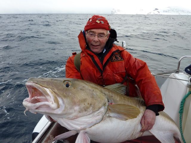 Species hunters - Pictures