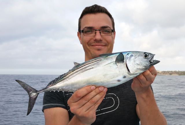 Species hunters - Pictures