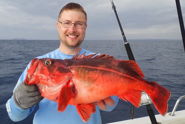 Species hunters - Pictures